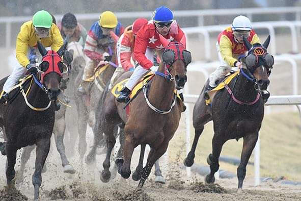 휴먼다큐멘터리 영화 ‘스마일링 자키’ 통영시에서 촬영